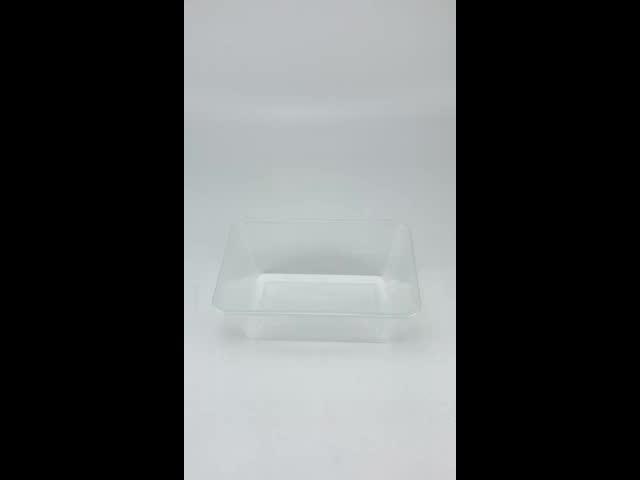 650ml Disposable Food Small Boxes Clear Rectangle Plastic To Go ...