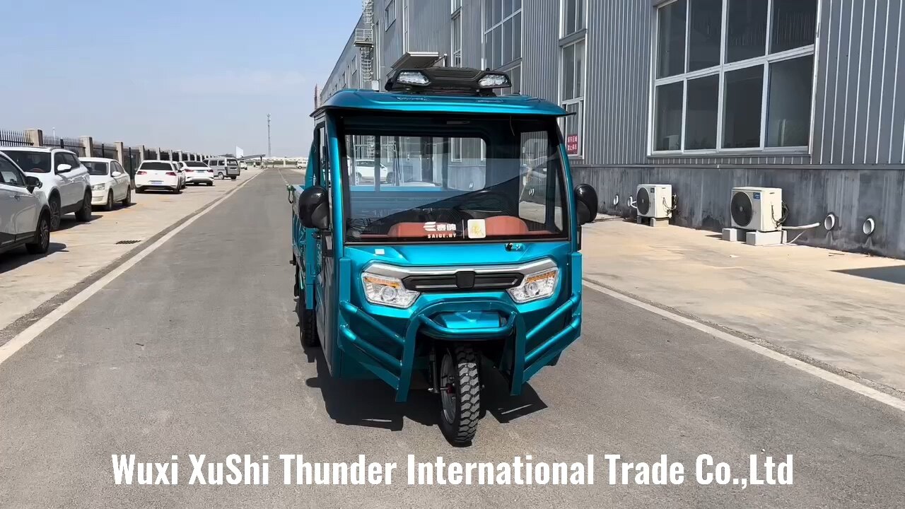 3 Wheel Electric Cargo Delivery Trike With Eec Coc Electric Cargo ...