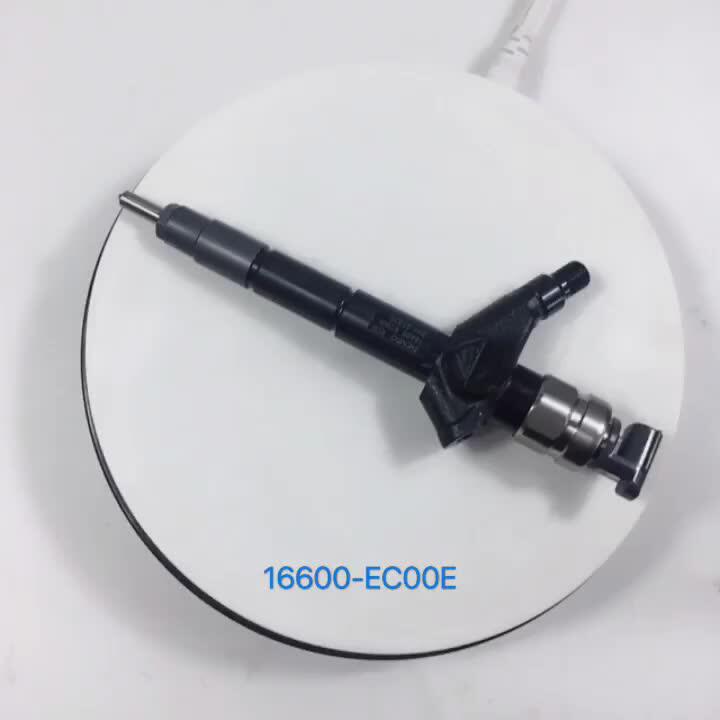 Denso Common Rail Fuel Injector 095000-6250 16600-eb70a For Navara ...