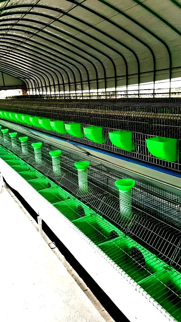Hot Selling Galvanized Rabbit Farming Equipment For Commercial Rabbits ...