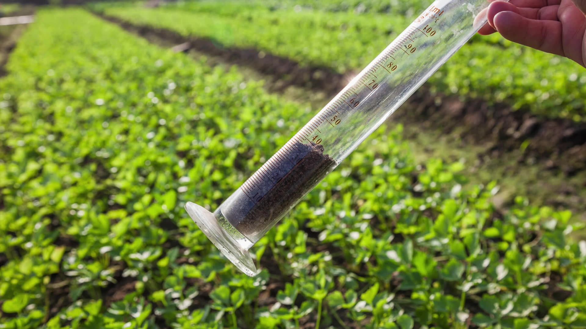 Soil Test Reagent Hot Sell For Npk And Ph Low Moq And Easy Test Test 4 ...