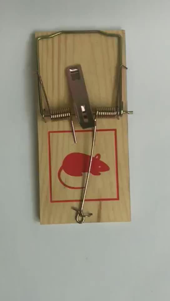 Rat Size Spring Action Wooden Snap Trap With Expanded Trigger - Buy Rat ...