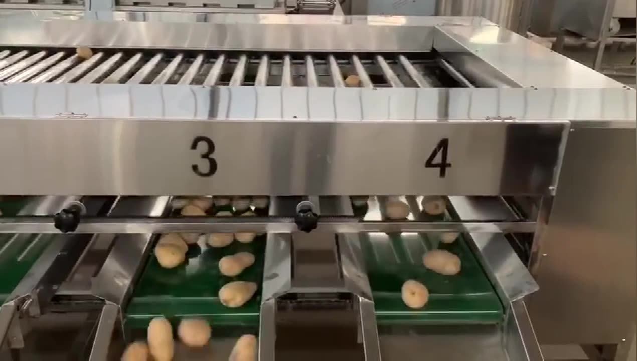 Damatic Hot Selling Round Fruits Vegetables Selection Sorting Roller ...