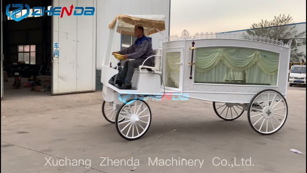 Antique Horse Drawn European Hearse For Sale Victorian Glass Covered ...