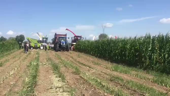 Double Rows Corn Stalk Silage Forage Harvester Machine Grass Forage ...