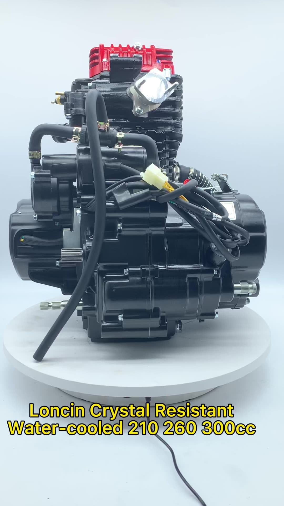 Loncin 300cc Engine Tricycle Spares And Accessories 4 Stroke Three ...