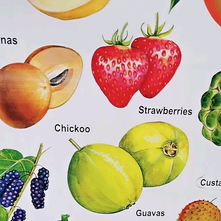 Voiced Wall Chart Burmese Language Numbers From 1-100 Early Educational ...