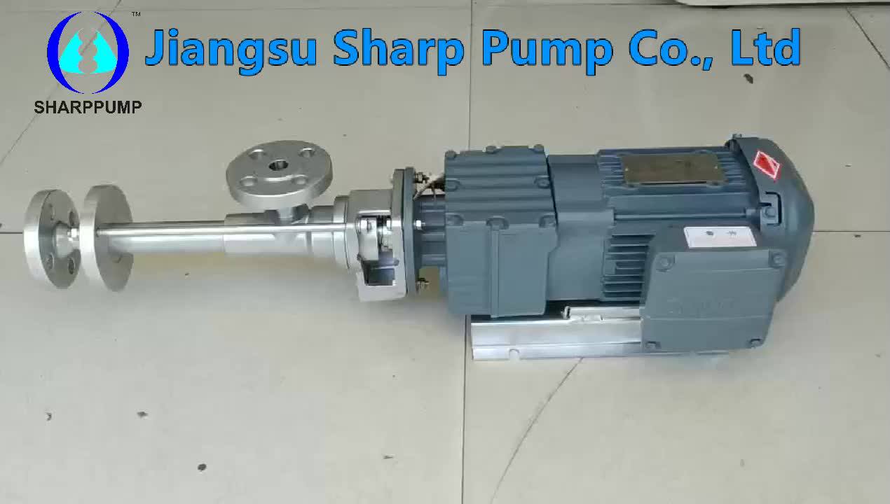 Superior Chinese Manufacturer Of Netzsch Type Nm003by11s12b 304/316l Ss ...