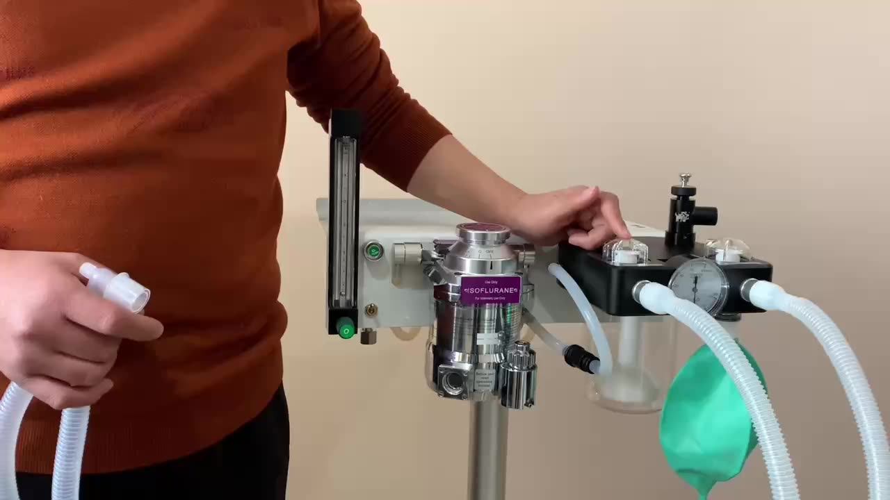 Smartfvet Veterinary Anesthesia Machine Inhalational Anesthesia With ...
