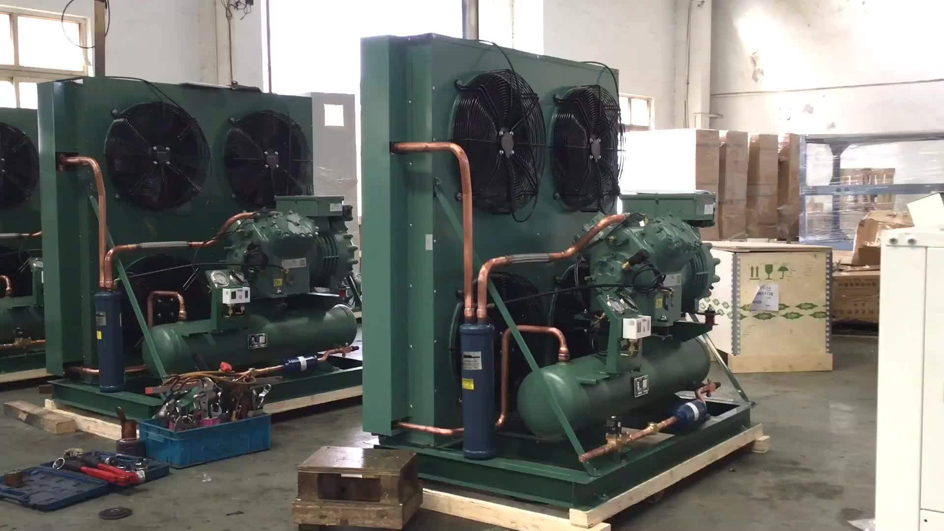 15 Hp Outdoor Condensing Unit,Bitzer Air-cooled Condensing Unit,Bitzer ...