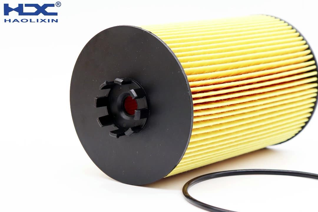 For Heavy Duty Truck Oil Filter Hu13125x 2596171c91 11110427 E422hd86 ...