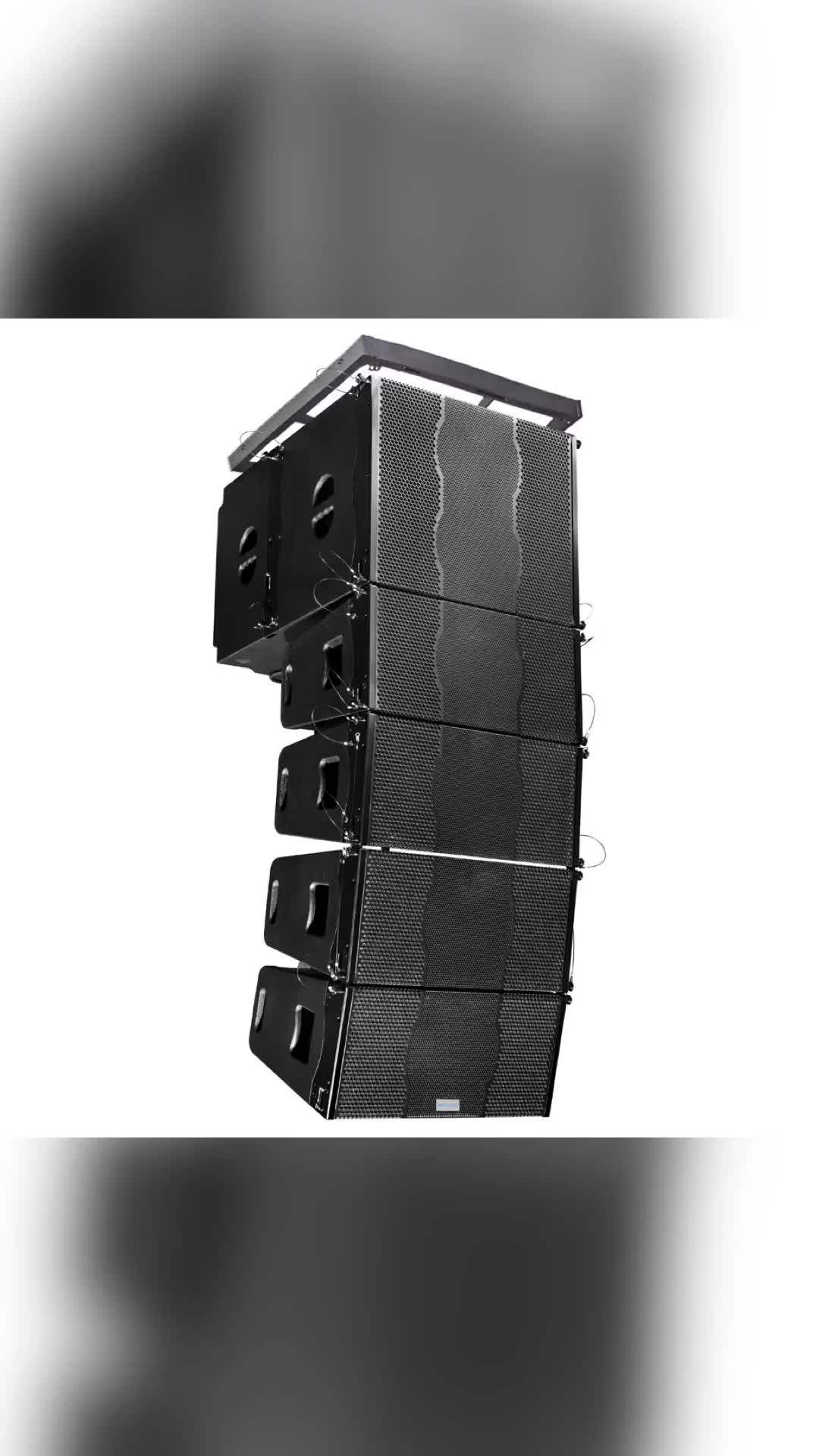 213 Passive Pro Audio Dj Sound System Pa Loudspeaker Two Way Dual 12 ...