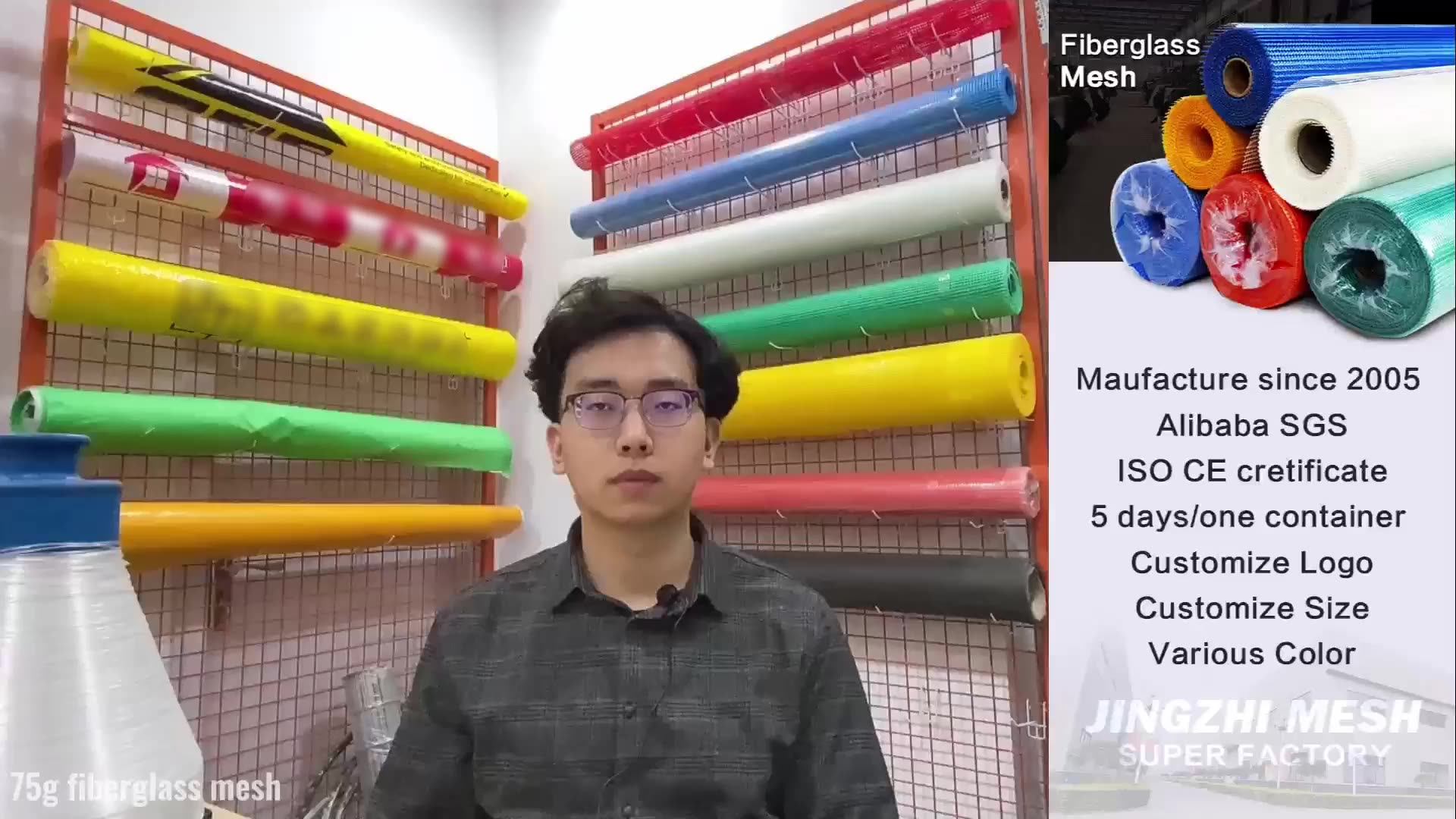 Eifs Reinforcing Mesh 145g 5mmx5mm 1x50m Roll Alkali-resistant ...