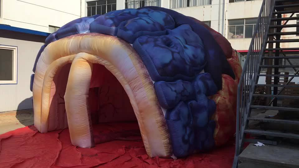 2020 Nuevo Diseño Inflable Gigante Colon Para Cáncer De Colon De La ...