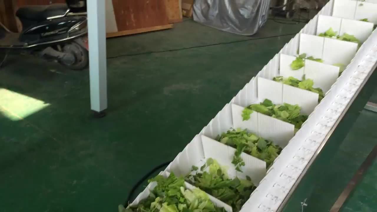 Salad Packing Machine Vegetable Packing Machine Salad Vegetable Packing ...