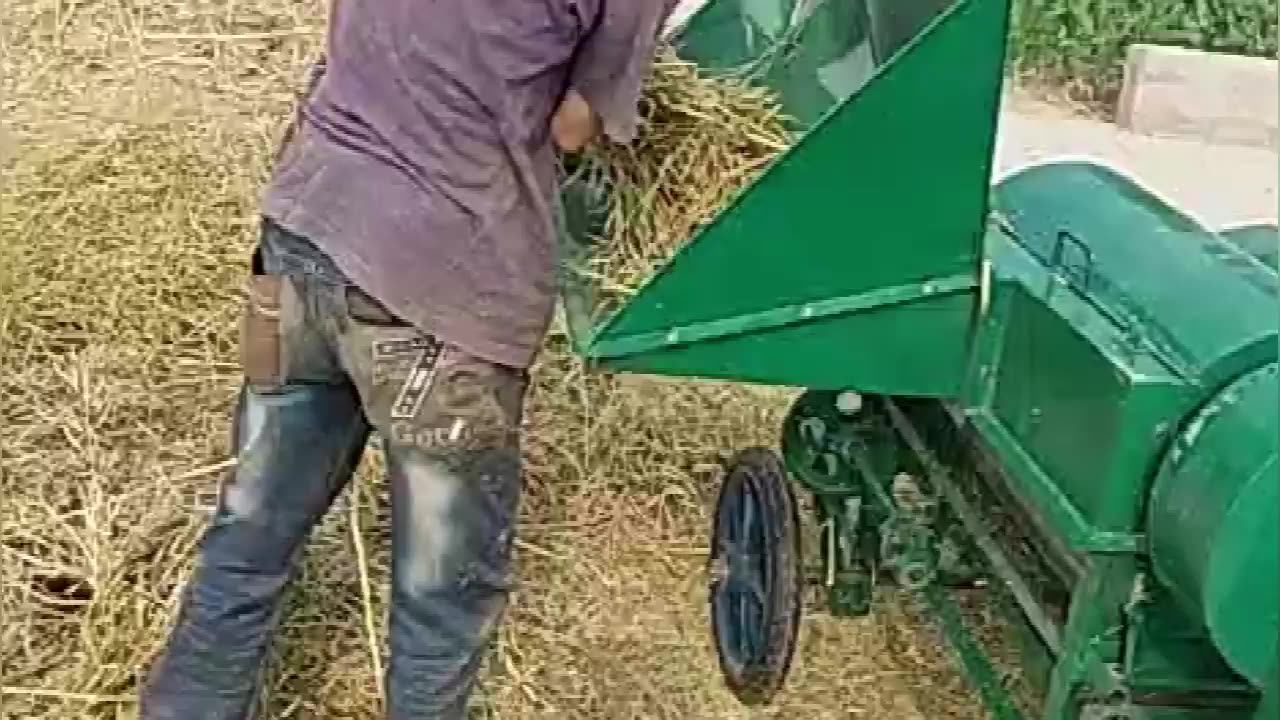 Multifunctional Small Household Rice Thresher Soybean Soybean Rapeseed ...