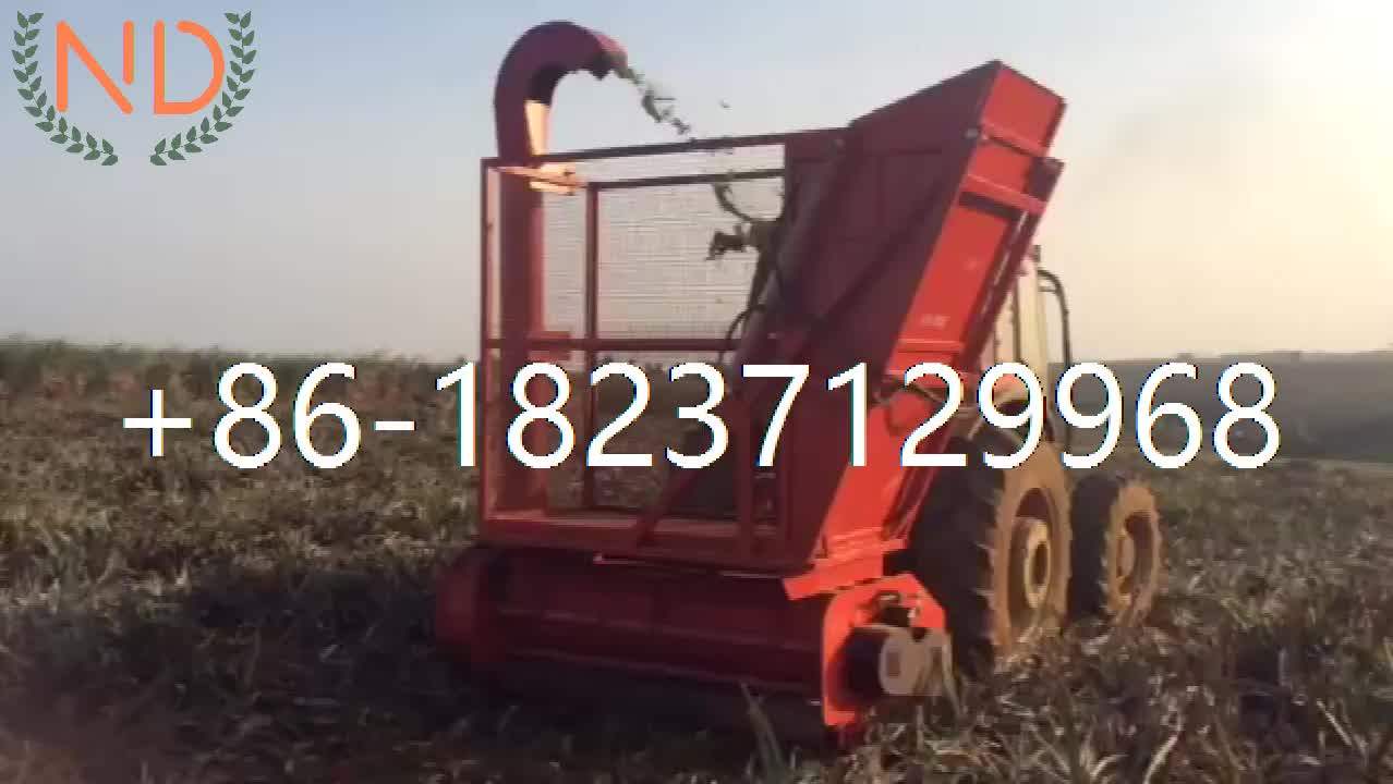 Cotton Stalk Napier Grass Harvester Root Crop Harvesting Machine Forage ...