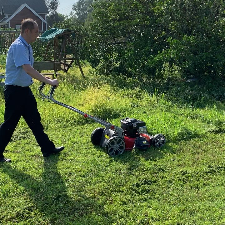 Leo Lm51z-2l-p/lm51ze-2l-p Folding Handle Self-propelled Electric Start ...