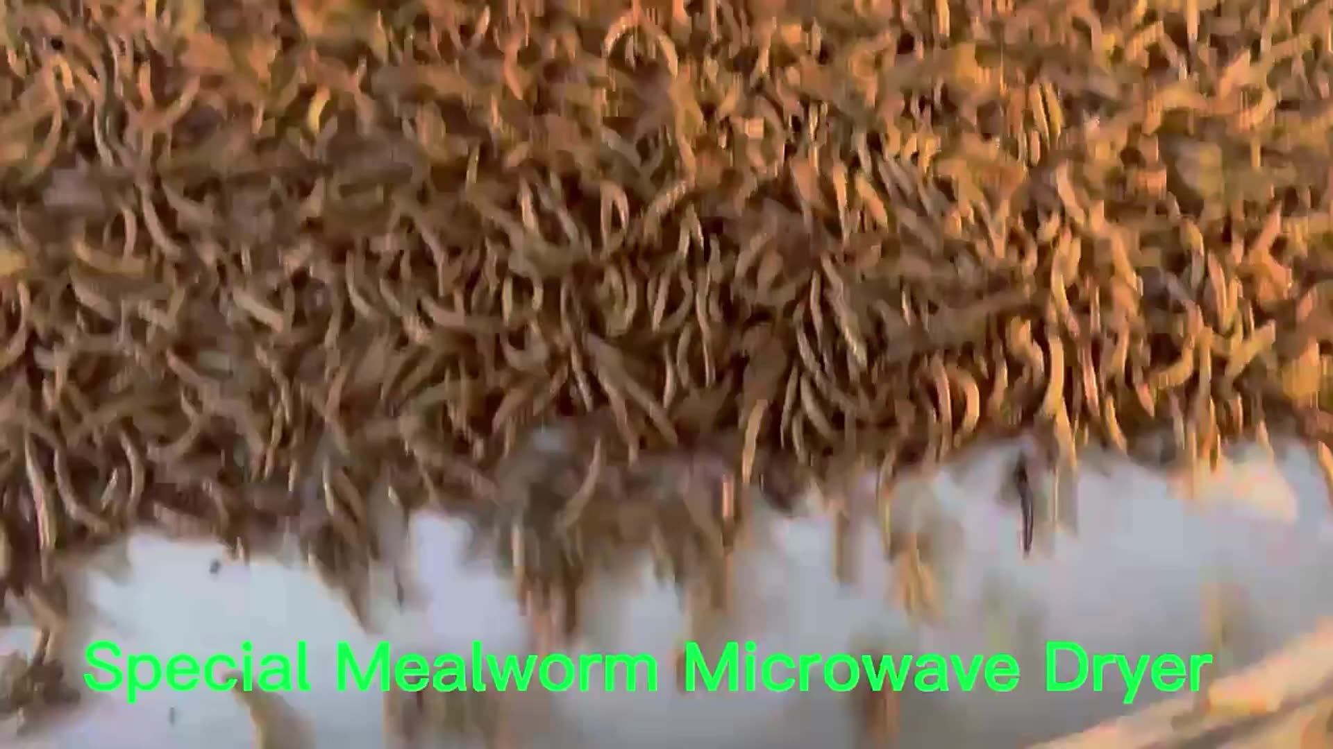 Industrial Microwave Black Soldier Fly Larva Bsfl Dryer Drying Tunnel ...