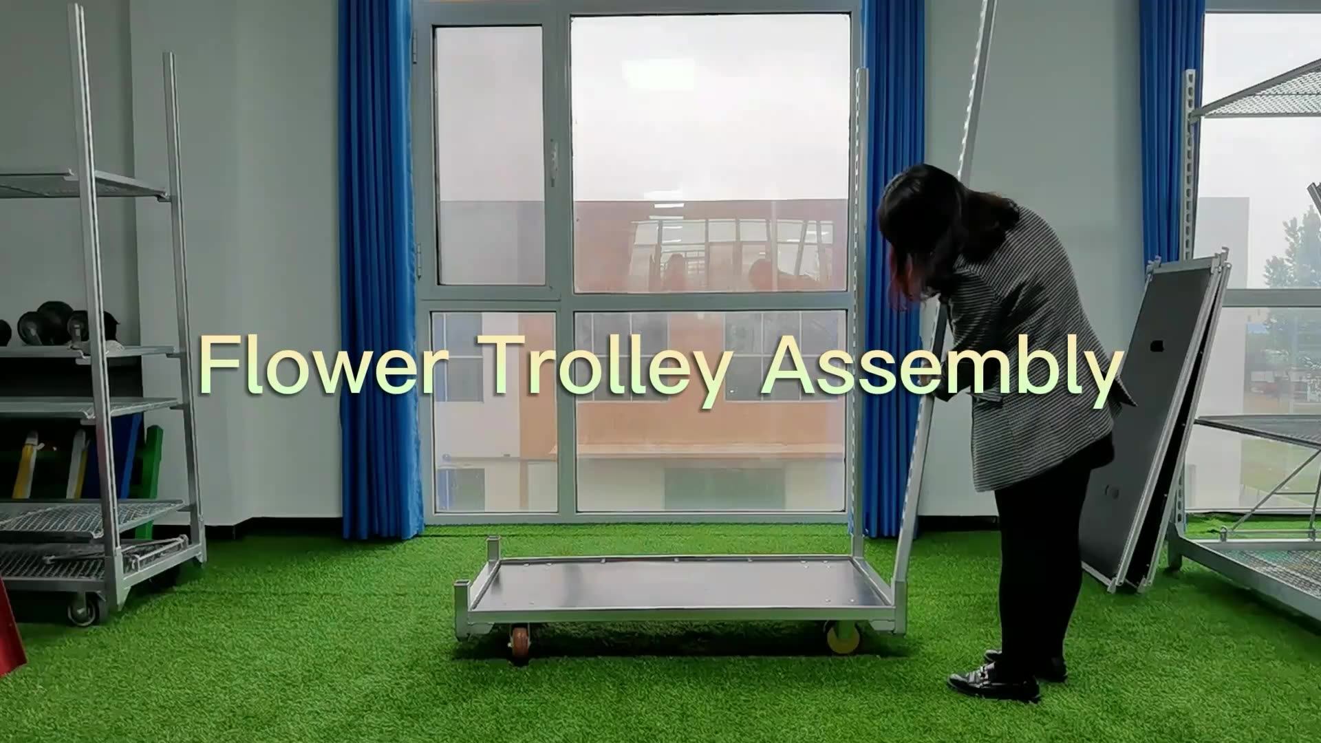 Metal Galvanized Greenhouse Farm Transport Dutch Danish Nursery Flower ...