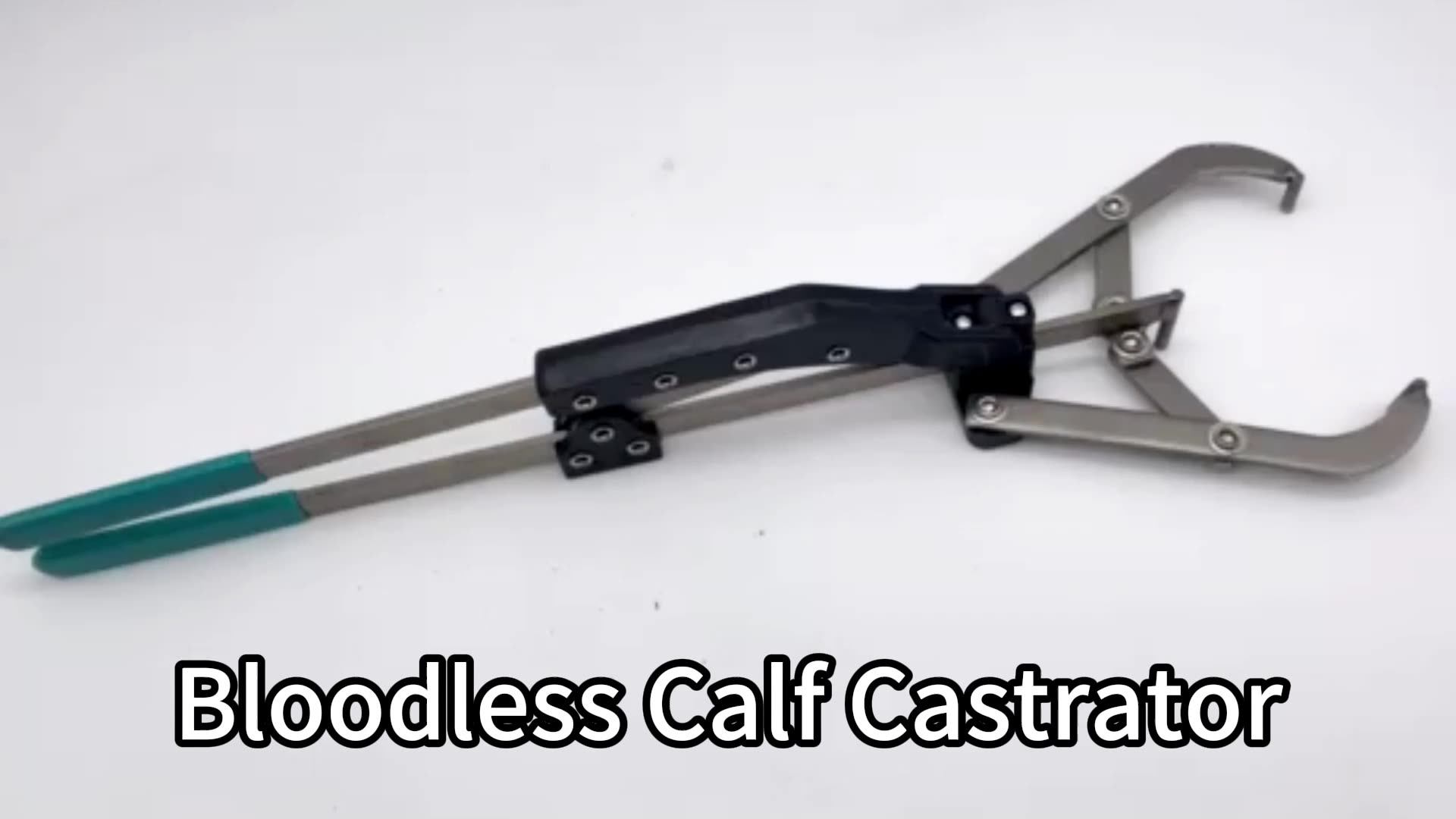 Cattle Castration Tool Cattle Horse Expansion Forceps Calve Cow ...