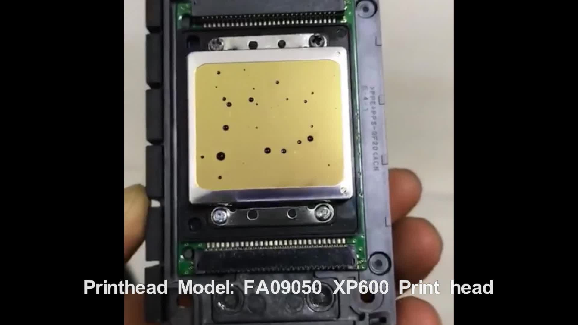 Original New Xp600 Print Head For Xp 600 Printhead Eco Solvent Printer ...