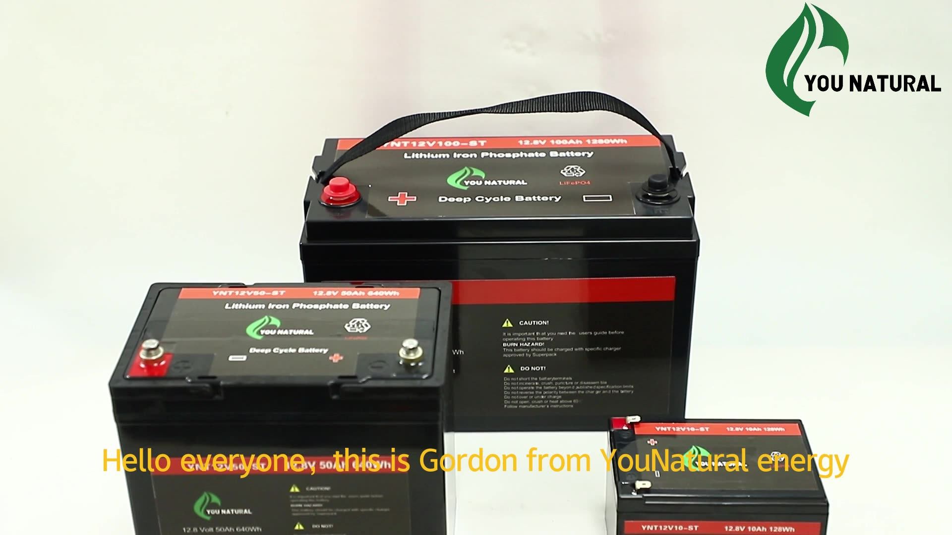 Lifepo4 Battery 12v 10ah Rechargeable 12.8v Lithium Ion Batteries 12v ...