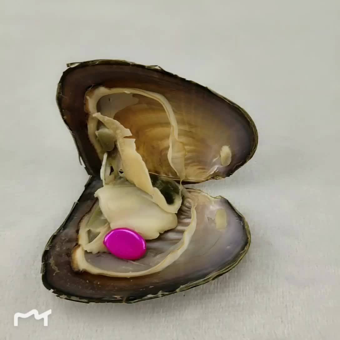 Großhandel Oyster Muscheln Mit Natürlichen Perle,8-11mm Barock Perlen ...