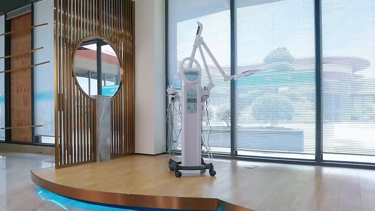 Professional Multifunction 9 In 1 Skin Care Machine Sonia Beauty ...