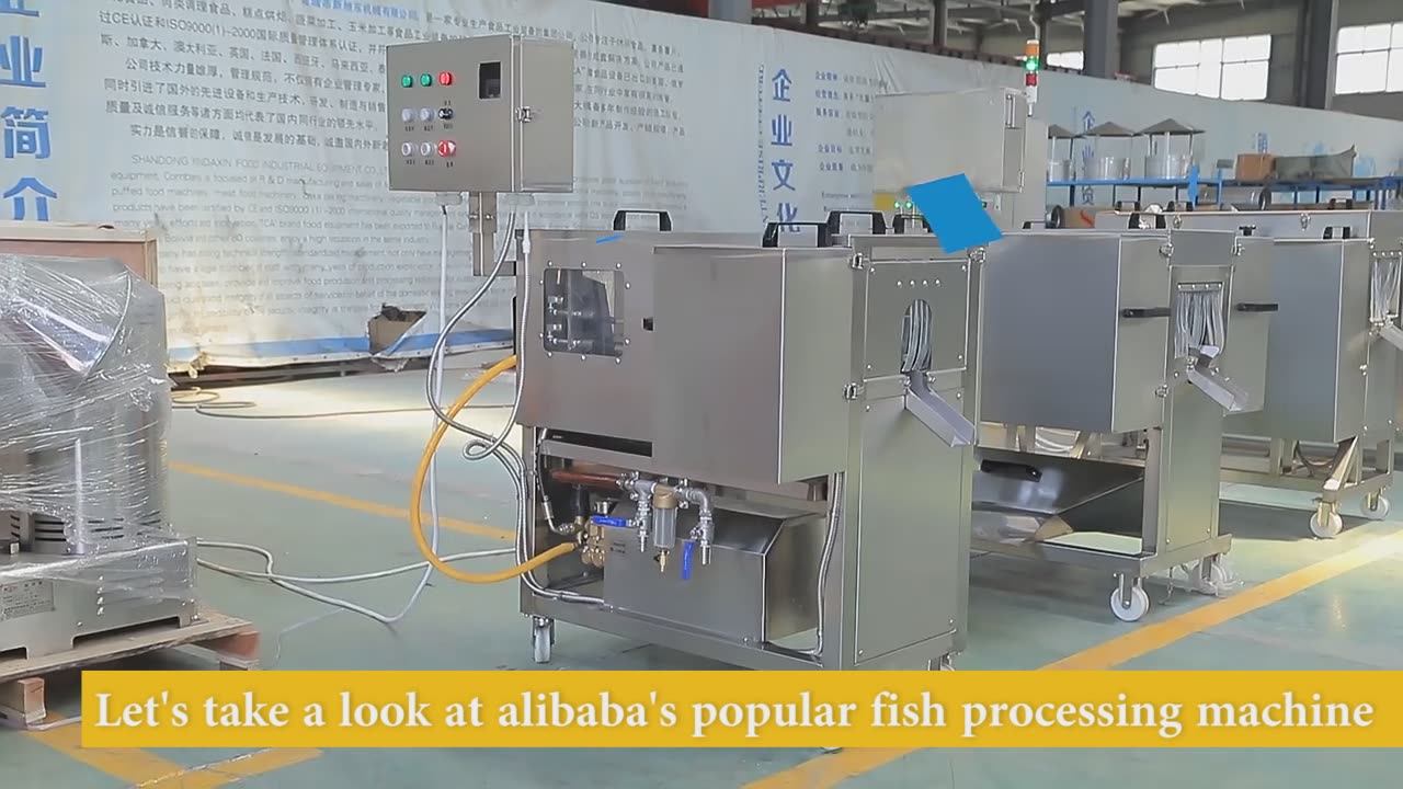 Aicn Automatic Canned Tuna Sardine Fish Cleaning Fillet Cutting ...