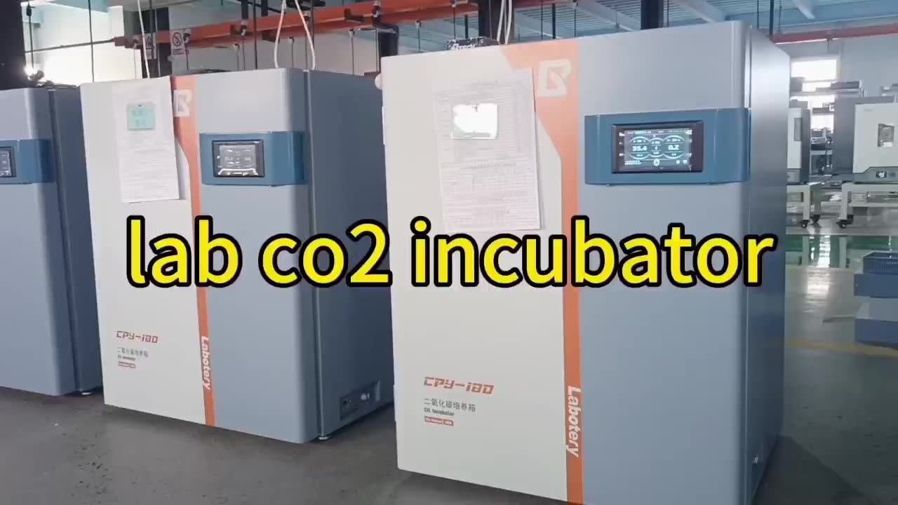 Cell Culture Mini Laboratory Co2 Incubator Constant Temperature - Buy ...