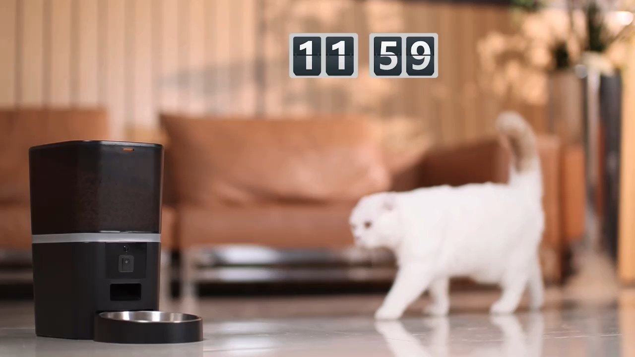 Dog Cat Smart Pet Feeder Camera Wifi Tuya Smart Mobile Phone App Remote ...