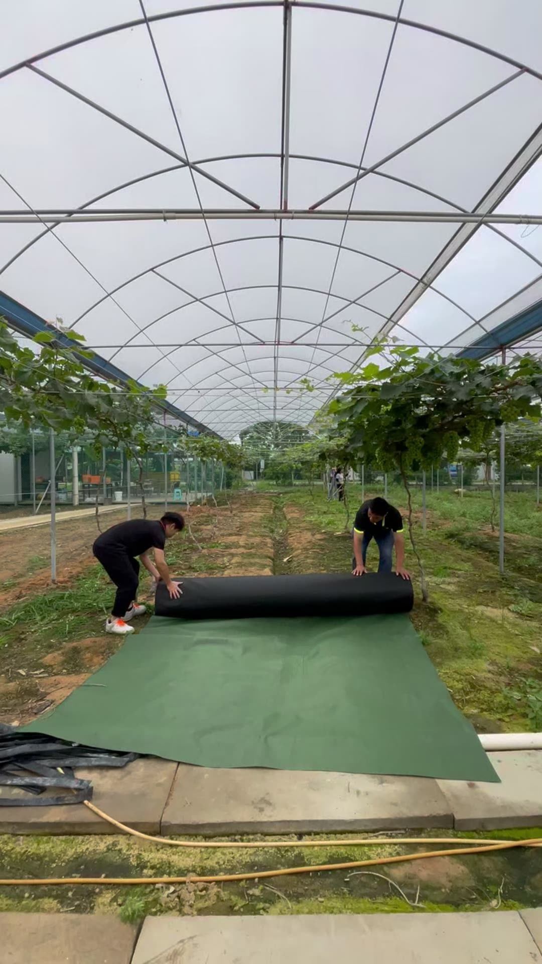 Weed Control Barrier Mat In Roll Fabric Landscape Ground Cover Pp Spun ...