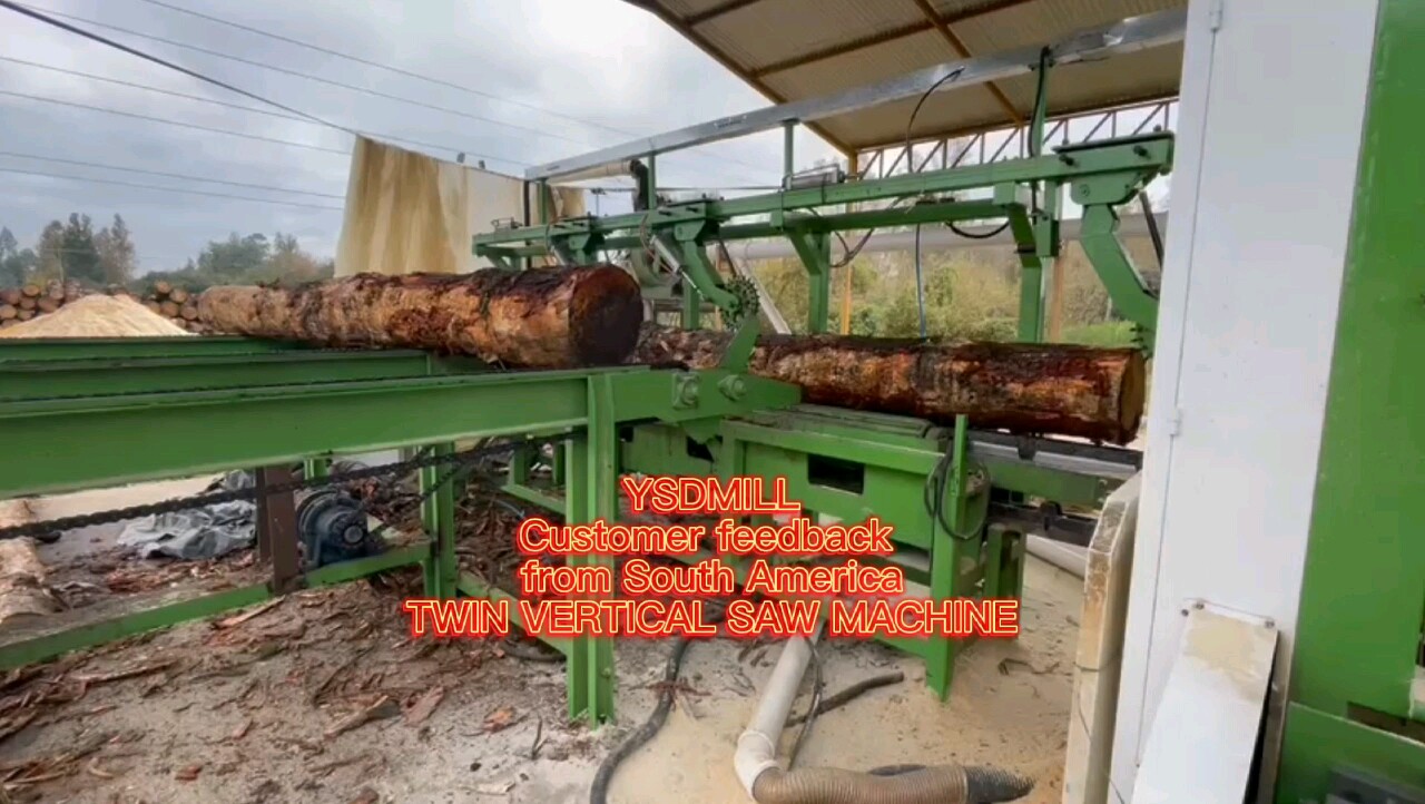 Fully Automated Saw Timber Sawmill Line Double Head Bandsaw Twin ...