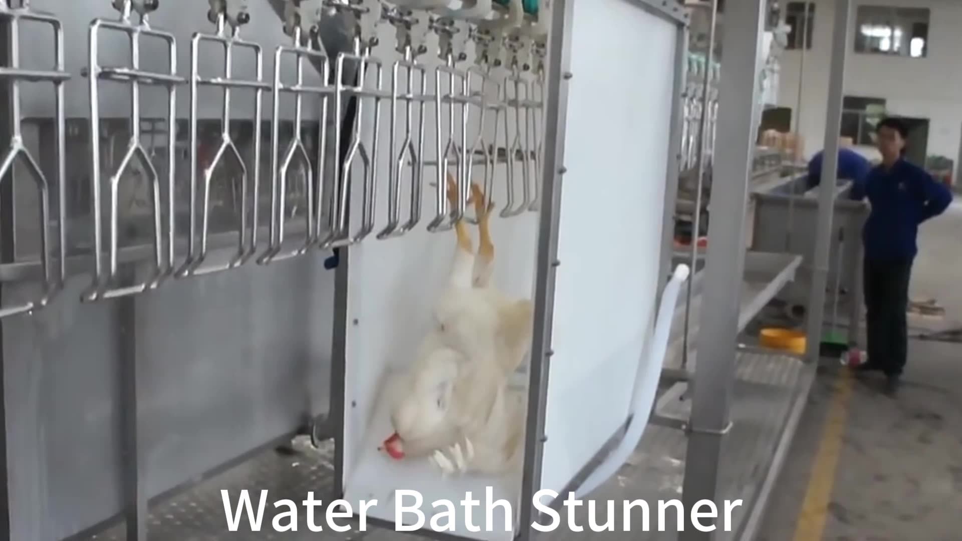 Automatic Slaughterhouse Plant Poultry Processing Abattoir Equipment ...