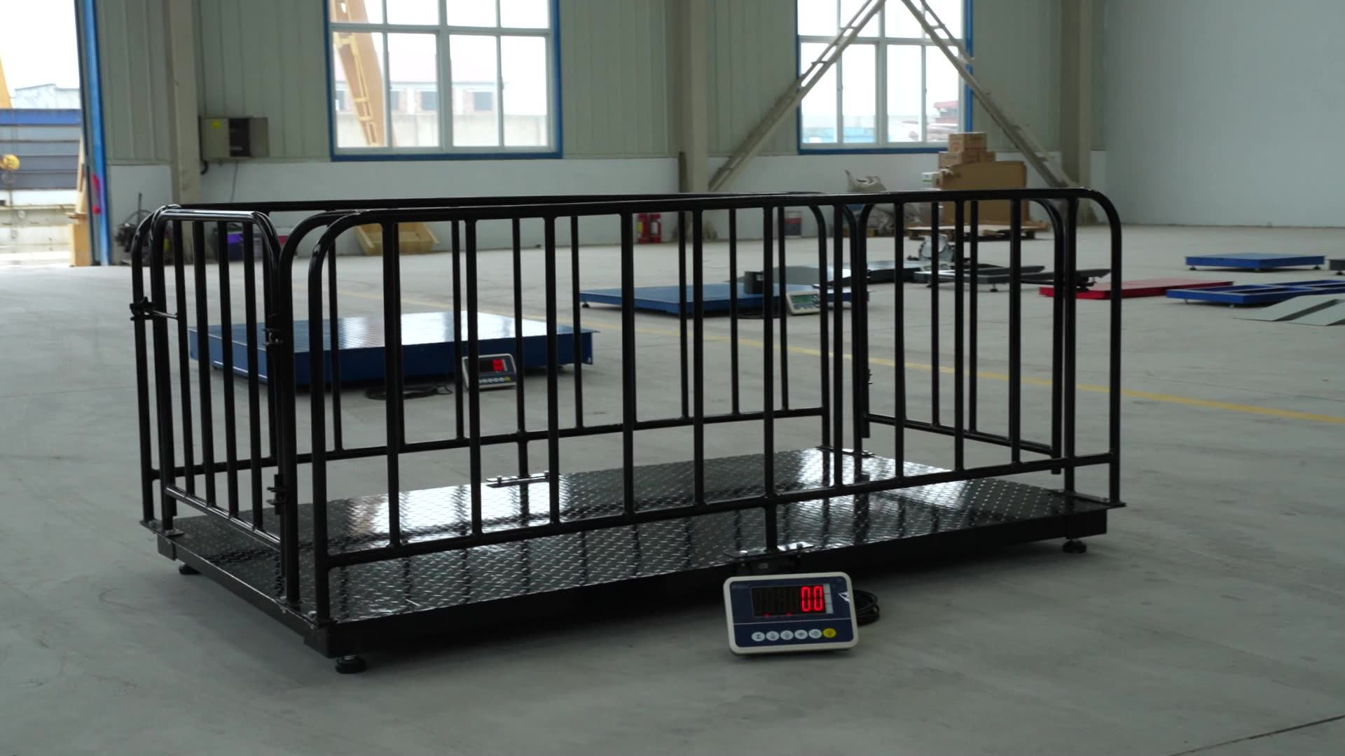 1t 2t Digital Weigh Livestock Weighing Scale Cattle Weighing Scale Pig ...