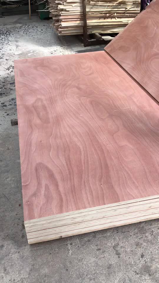 2.5-25mm Red Meranti Plywood - Buy Plywood,Red Cedar Plywood,18mm ...