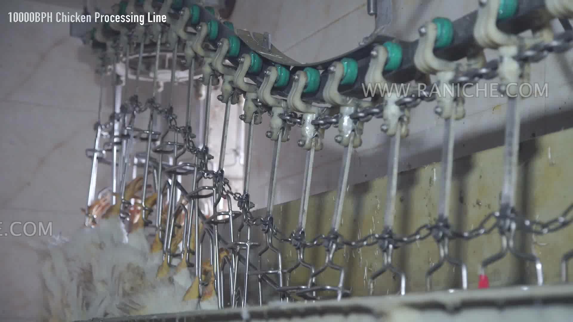 2000bph Broiler Poultry Meat Processing Plant - Buy Processing Plant ...