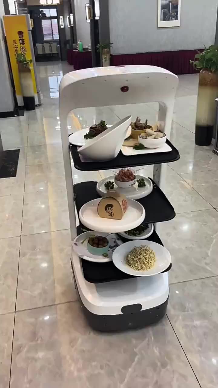 2024intelligent Welcome Robot Food Restaurant Restaurant Automatic ...