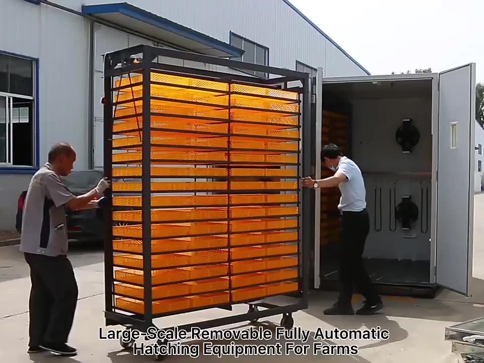 Large Size Industrial Egg Hatching Machine Incubator 50000 Eggs ...