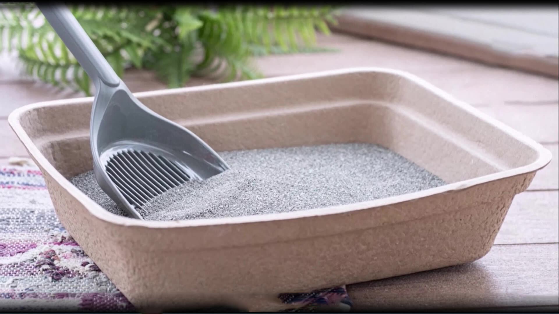 Disposable Litter Boxes For Cats Recycled Paper Cat Litter Tray 4-pack ...