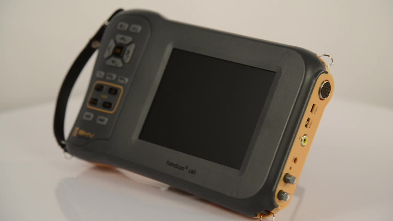 Bmv Farmscan L60 Pig Cattle Cow Bovine Equine Pregnancy Veterinary ...