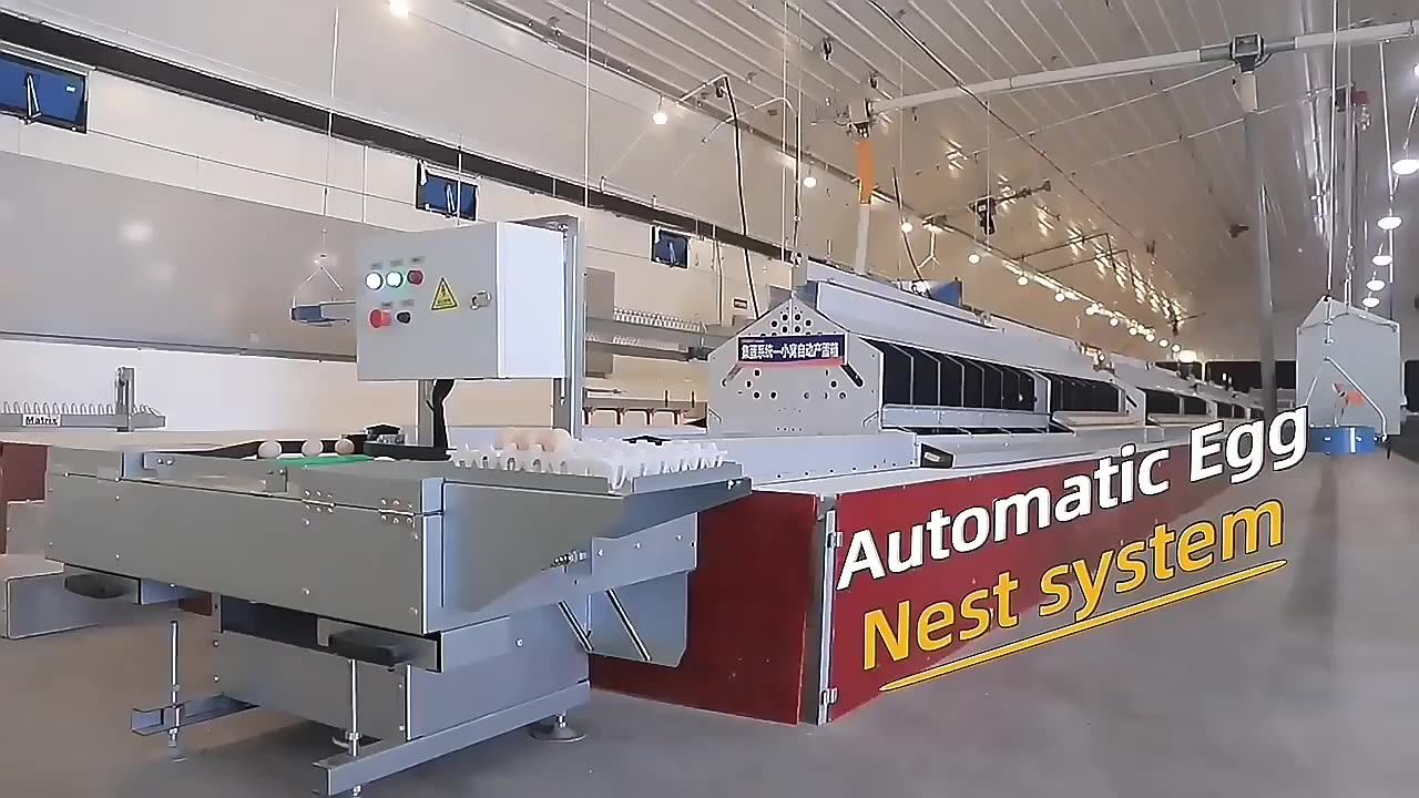 Breeder Farm Laying Hens Eggs Collection Automatic Chicken Nesting Box ...