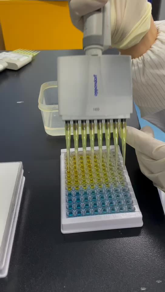 Lsy-30032 Toxoplasma Gondii Igg Antibody Elisa For Cat Toxoplasmosis ...