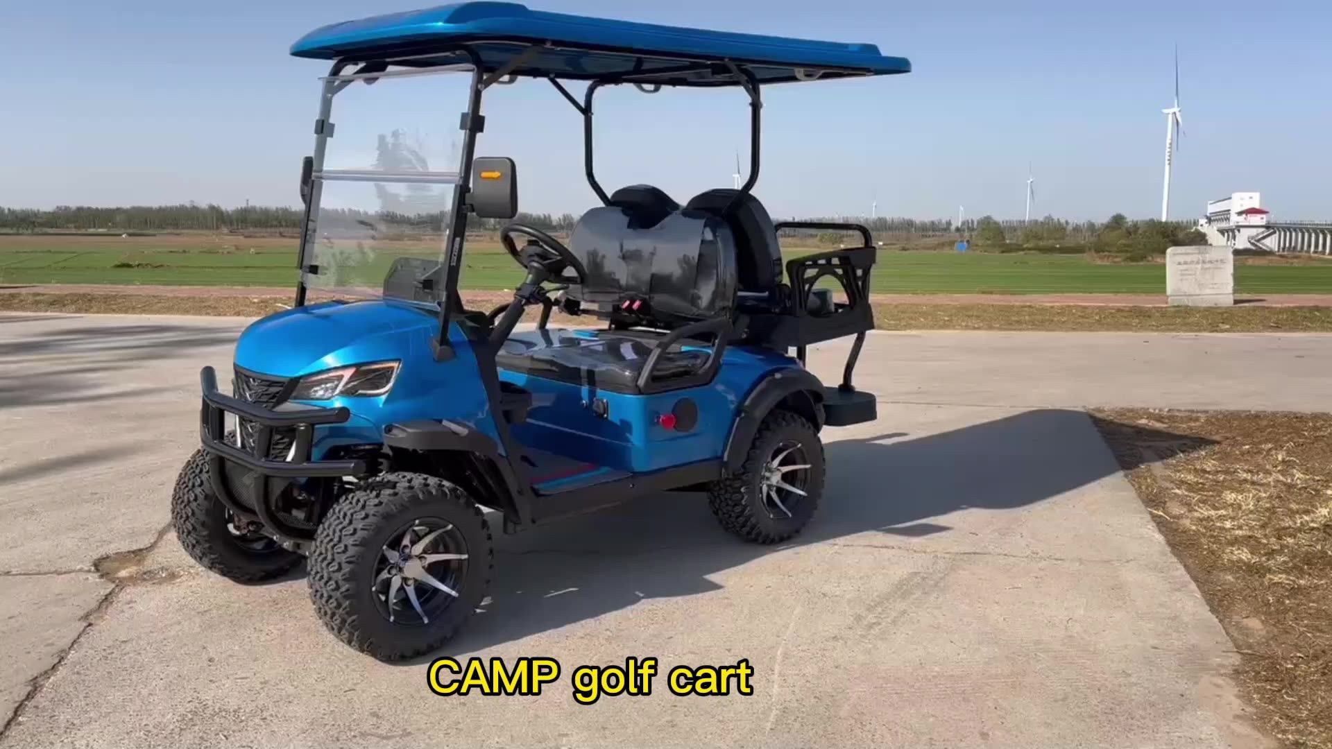 Camp High Quality 4 Seater Golf Cart Gas Powered / Electric Mini Golf ...