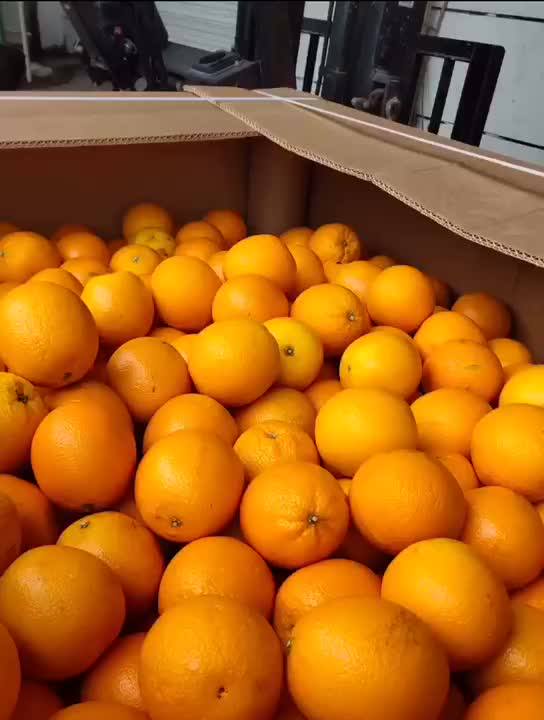 Chinese Mandarin Orange Pulp In Sugar For Juice Factory - Buy Fruit ...