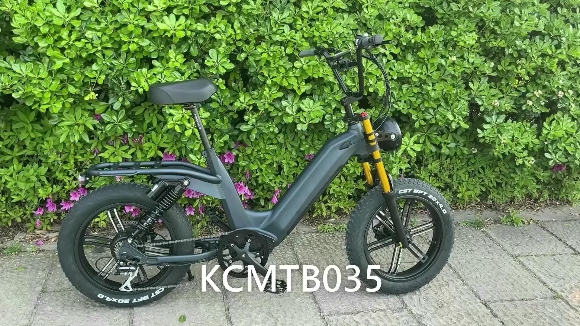 Lohas Electric Bike For Adult With Fork Suspension New Design Oem Is Available 20inch Fat Tyre ...