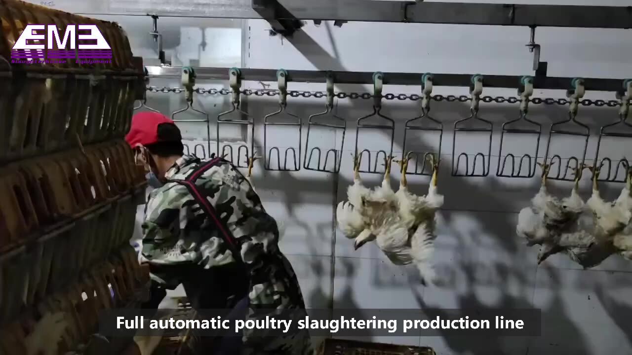 Poultry Slaughtering Equipment Chicken Plucking Plucker Machine For ...