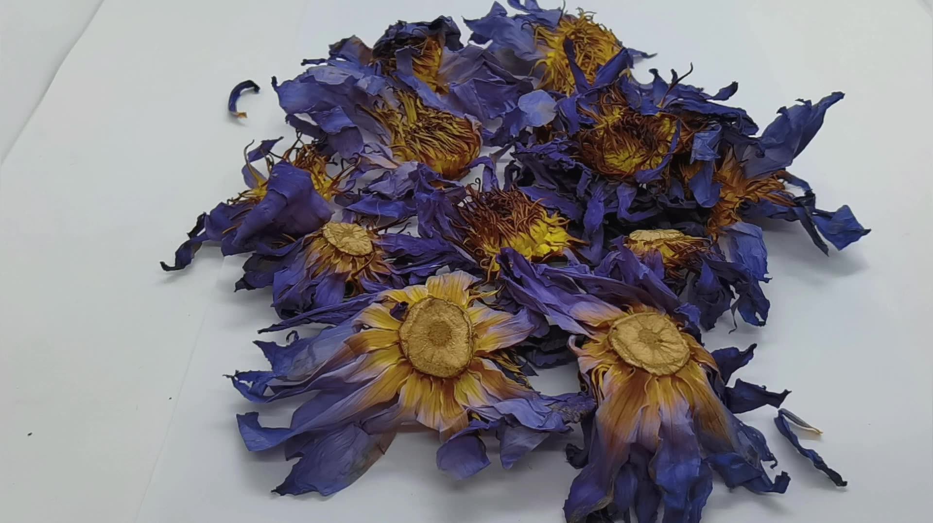 New Harvest Natural Premium Blue Lotus Flowers Dried Blue Lotus Flower ...