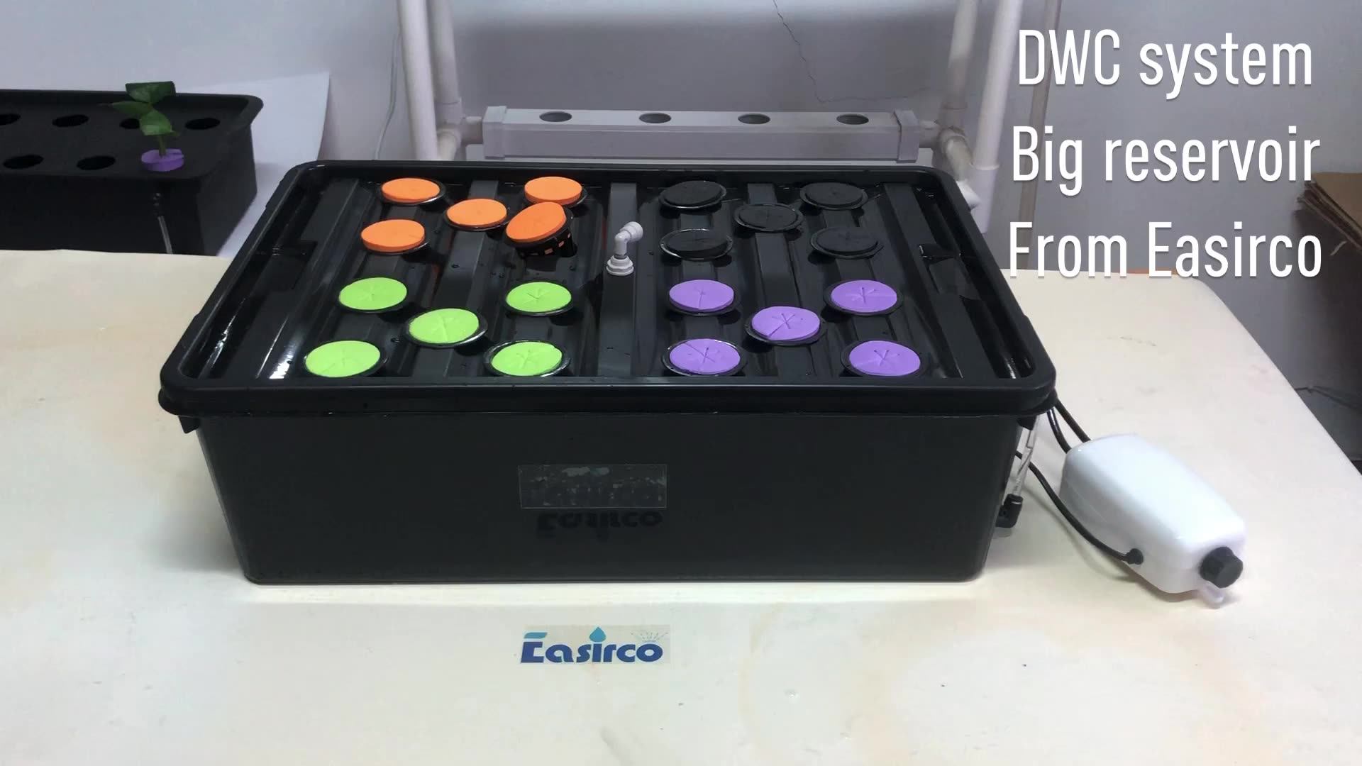 New Dwc Home Hydroponics Growing Systems With 6 Site Basket Cup - Buy ...